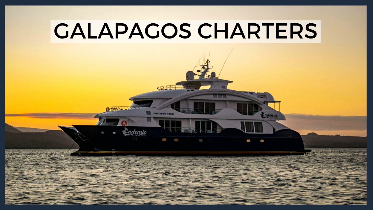 Galapagos Charters - Group Cruises and Exclusive Galapagos Tours