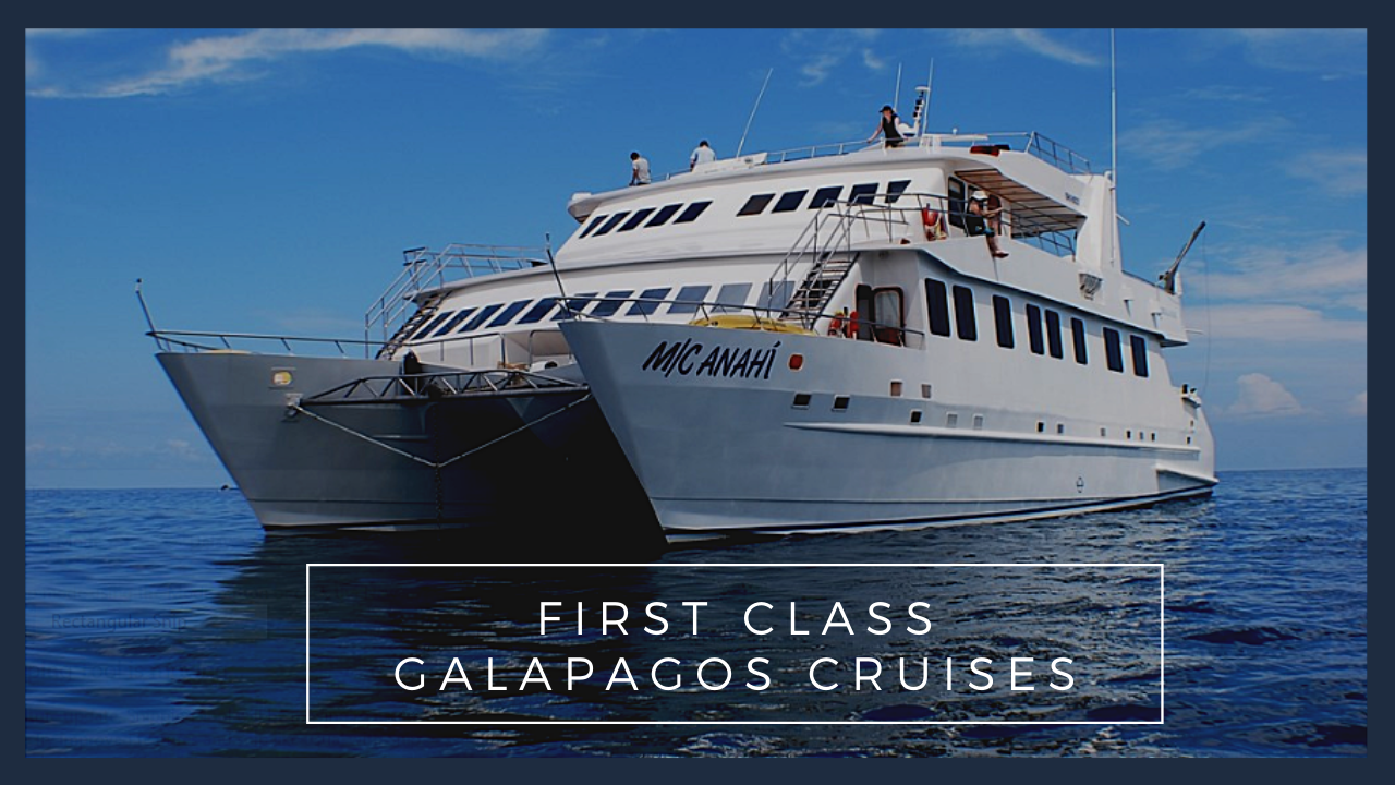 First-Class Galapagos Yachts - The best way to visit the Galapagos Islands